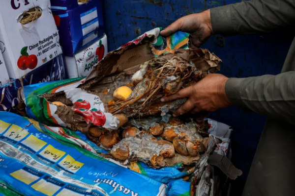 Indian Development Shrinks Kashmir’s Forests and Ice Caps ...